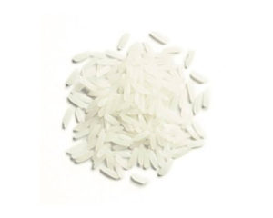 Sprouting - Sun Valley Rice