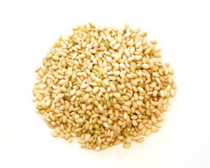 Sprouting - Sun Valley Rice
