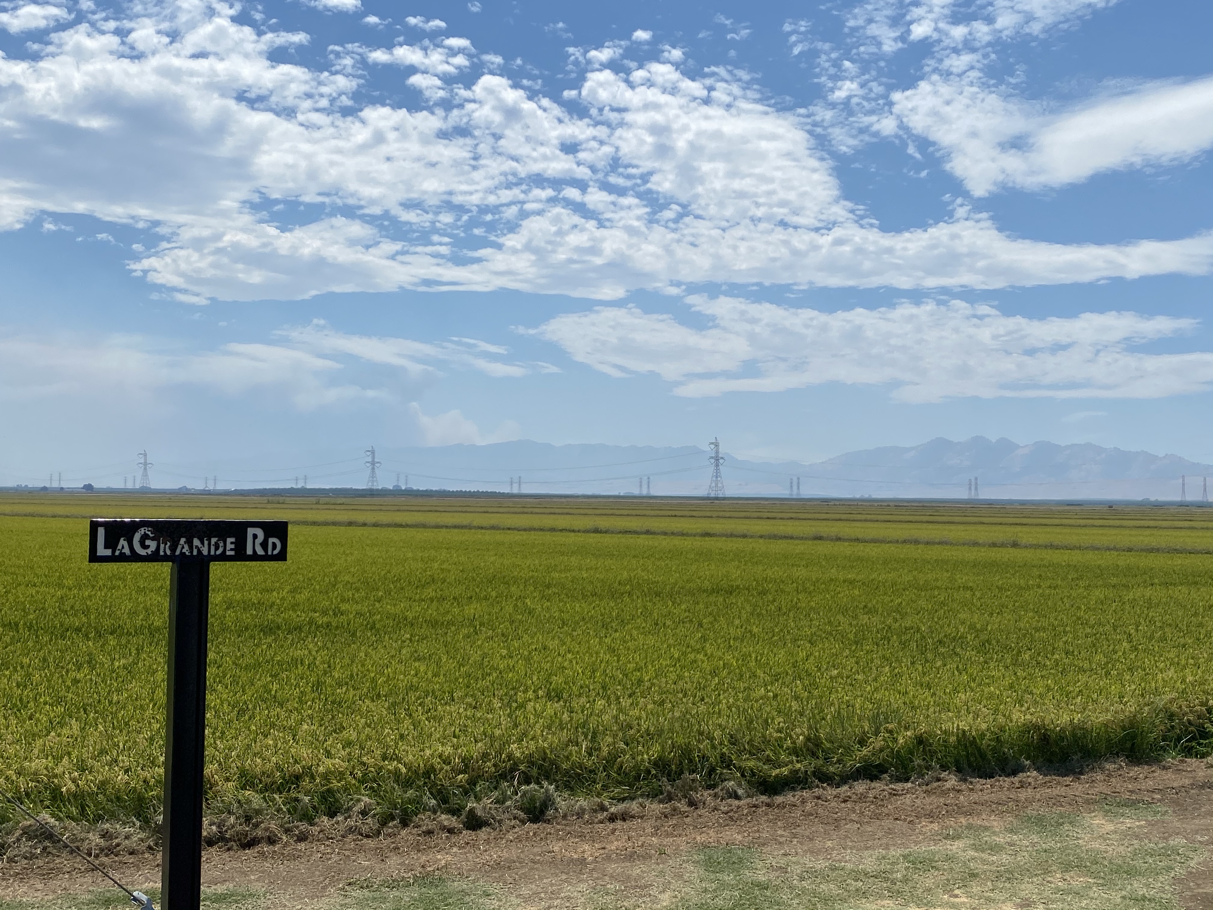 Contact - Sun Valley Rice